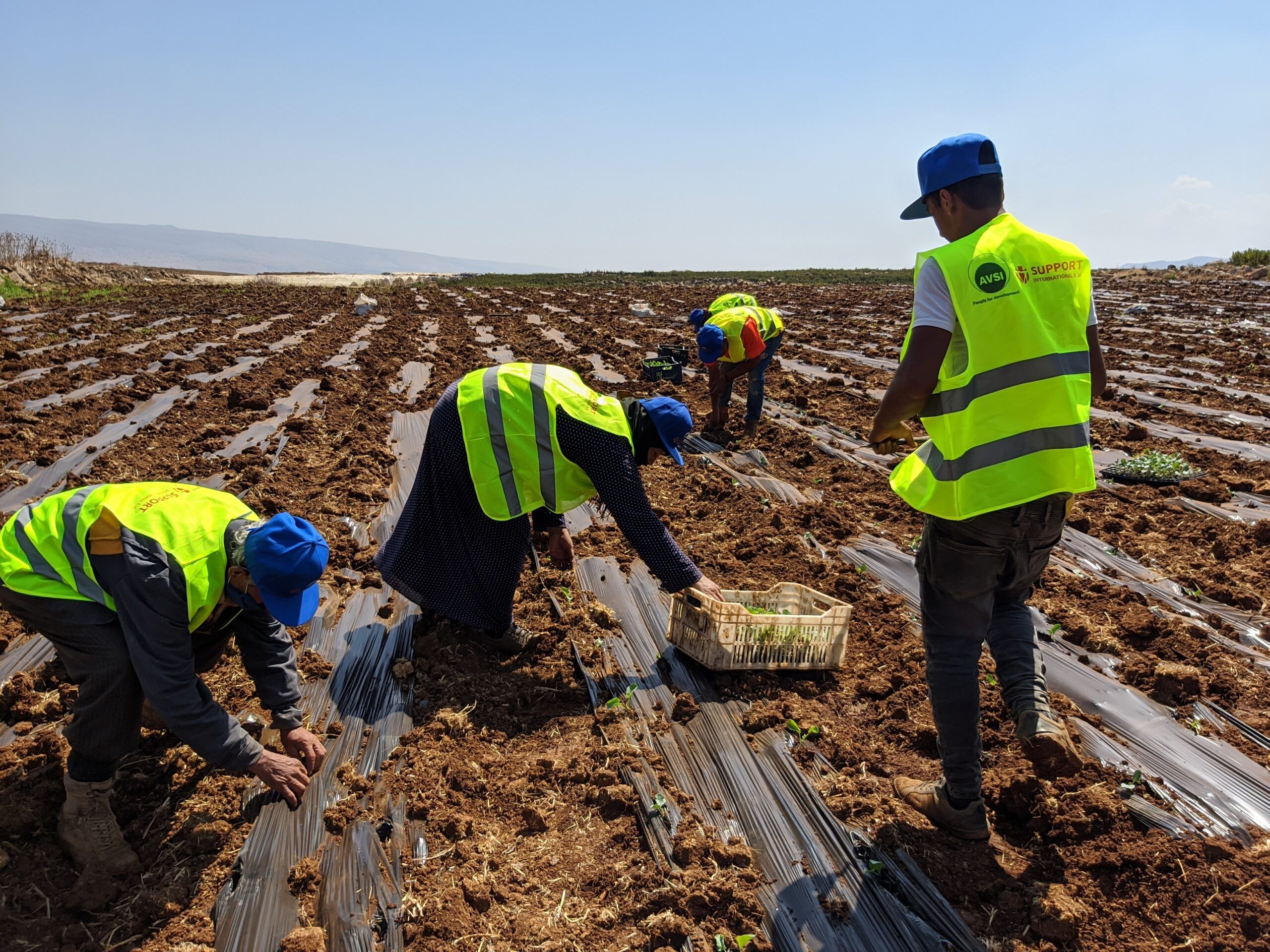 Saatzeit in Marjayoun - Support International e.V.